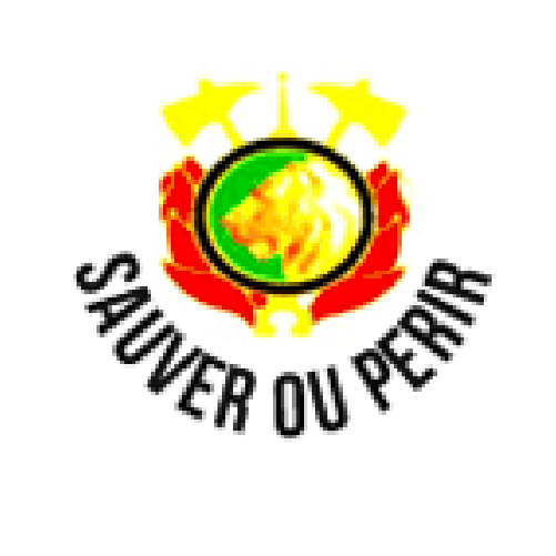 Partenaires – ANASER – Sénégal (Agence nationale de Sécurité routière )